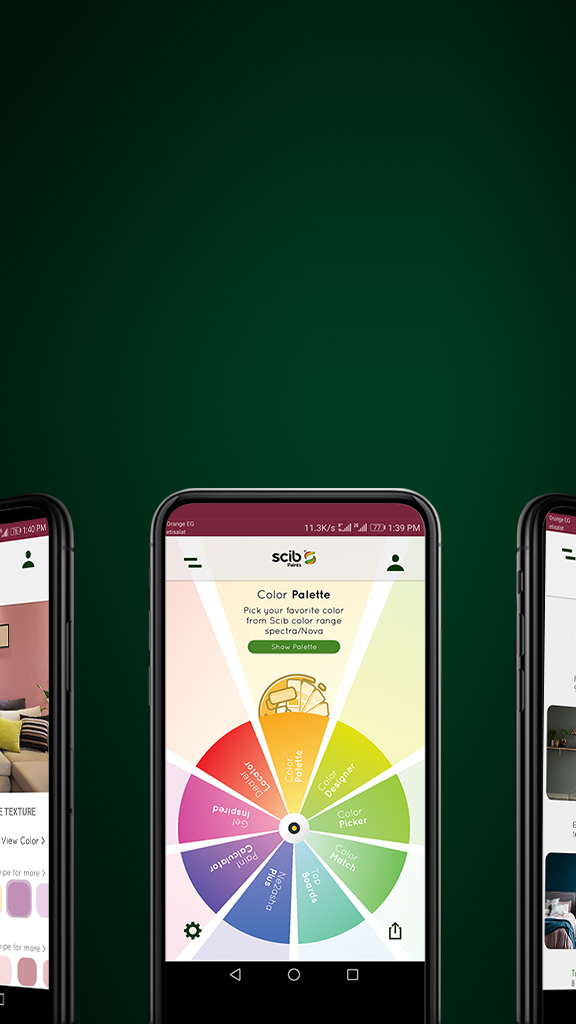 Scib Paints - Icon Creations Digital Agency - Work