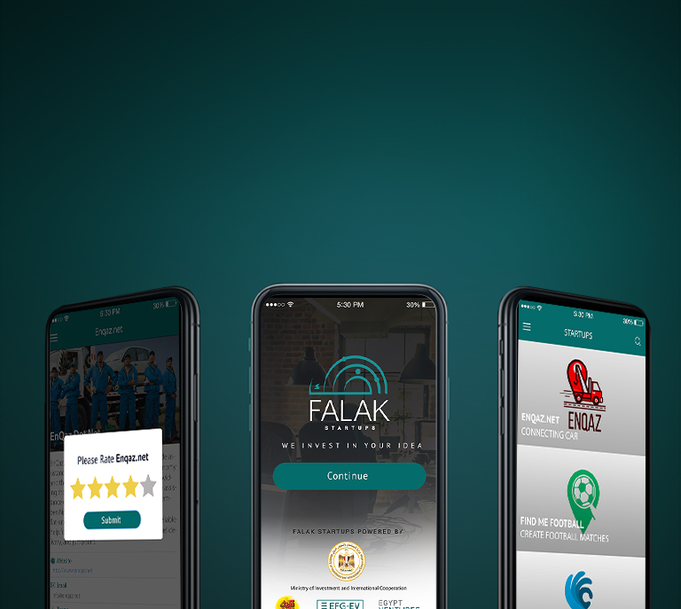 Falak - Icon Creations Digital Agency - Work